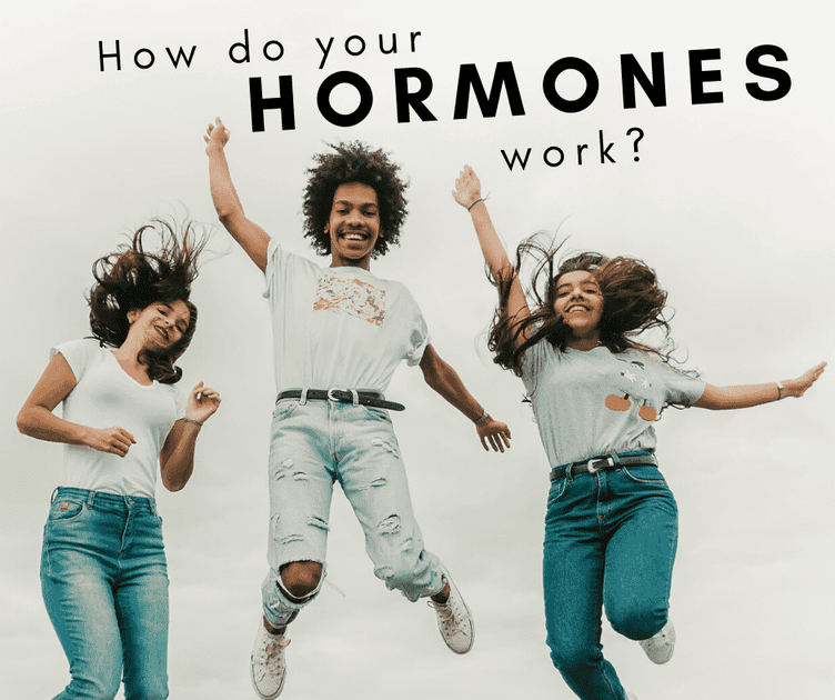 How do your hormones work? – Thumper Massager Inc. AU Store
