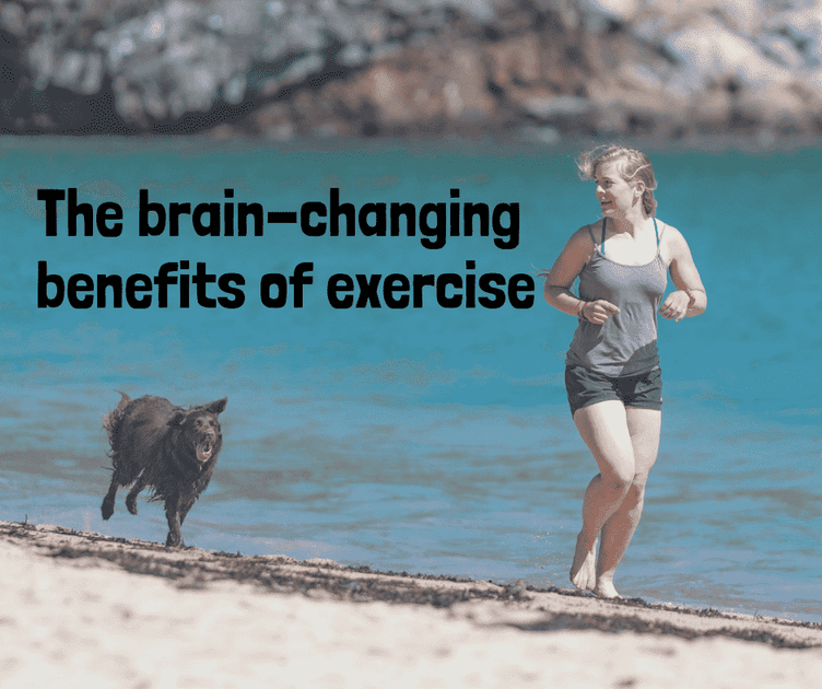 The brain-changing benefits of exercise – Thumper Massager Inc. AU Store